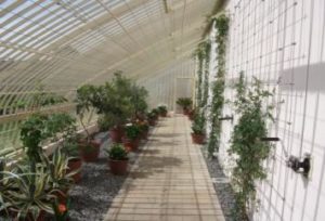 All Spec Glass & Glazing Dublin